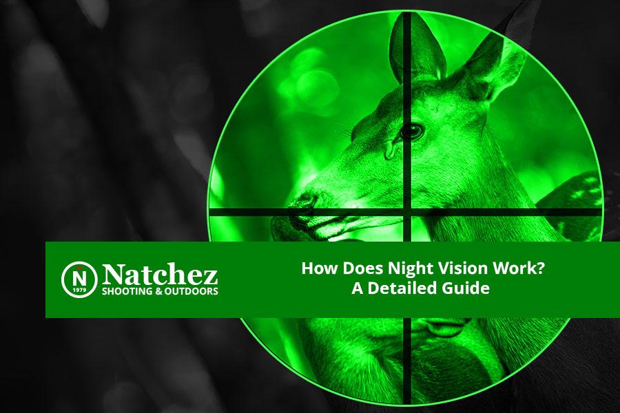 How Does Night Vision Work? A Detailed Guide