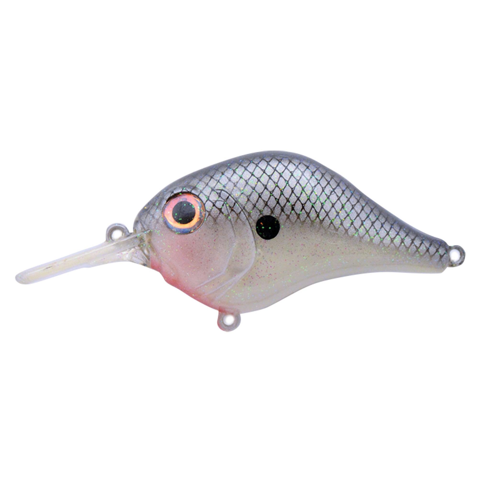 Rat-L-Trap Mid-Range MR6 Crankbait 2-1/4" 1/2 oz