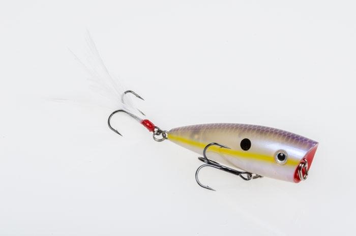 Strike King HC KVD Splash Chart Shad