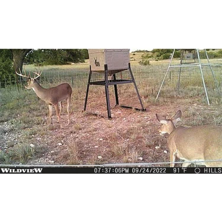 GSM Stealth Cam Wildview 14 Infrared Trail Camera