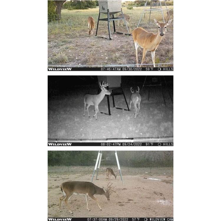 GSM Stealth Cam Wildview 14 Infrared Trail Camera