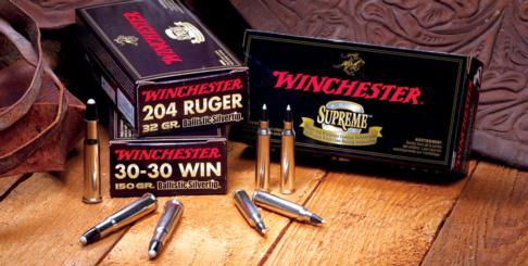 25 WSSM Winchester Super Short Mag Ammo For Sale | Natchez